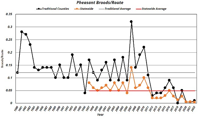 Pheasant Season Kicks Off December First- Pheasant Population Similar ...