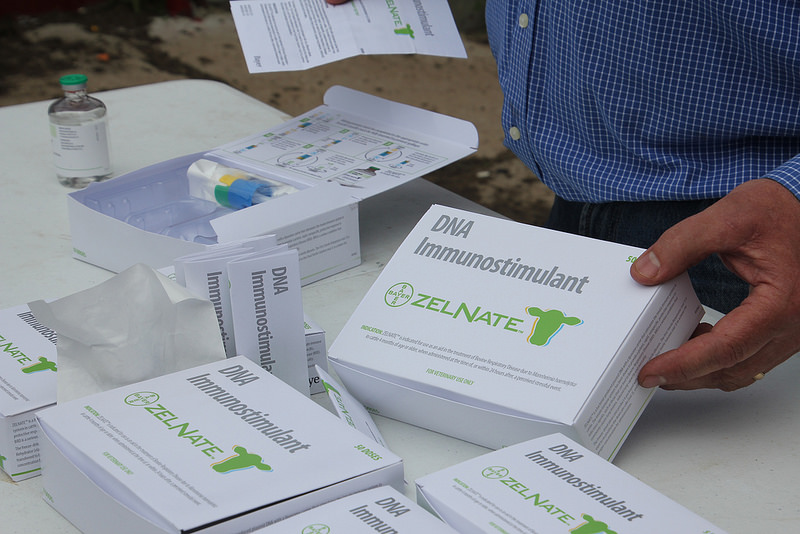 Oklahoma Farm Report - A New Way to Battle BRD- Zelnate by Bayer Animal ...