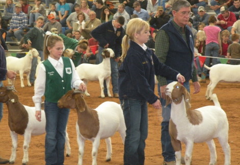 Oklahoma Farm Report - From the OYE- Tyler Boles of Asher FFA the ...