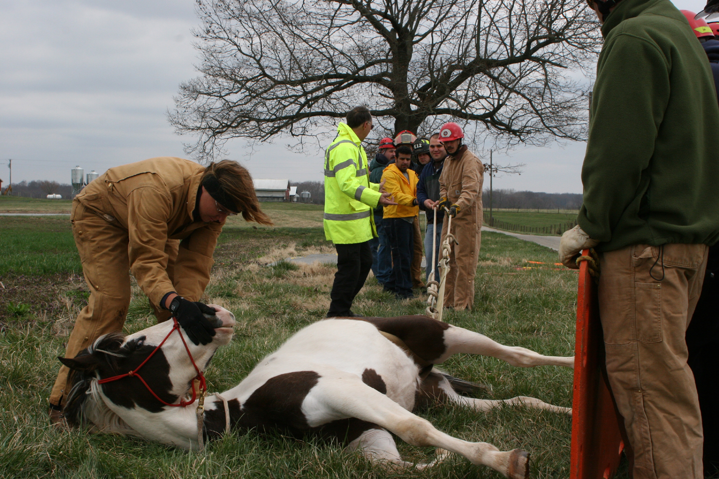 Oklahoma Farm Report - When Disaster Strikes on the Farm, Who You Gonna ...
