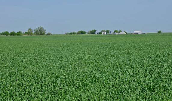Oklahoma Farm Report - Low Precipitation, High Temperatures Continue as ...