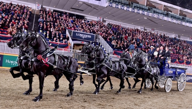 Oklahoma Farm Report - Express Ranches Dominates Draft Horse ...