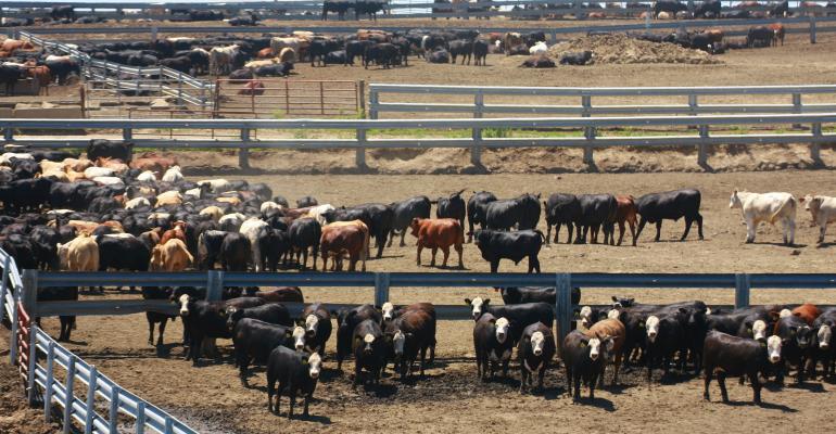 Oklahoma Farm Report - OSU's Derrell Peel Talks Large Feedlot ...