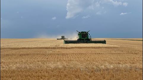 Oklahoma Farm Report - Oklahoma Wheat Harvest Starts Back Up in ...