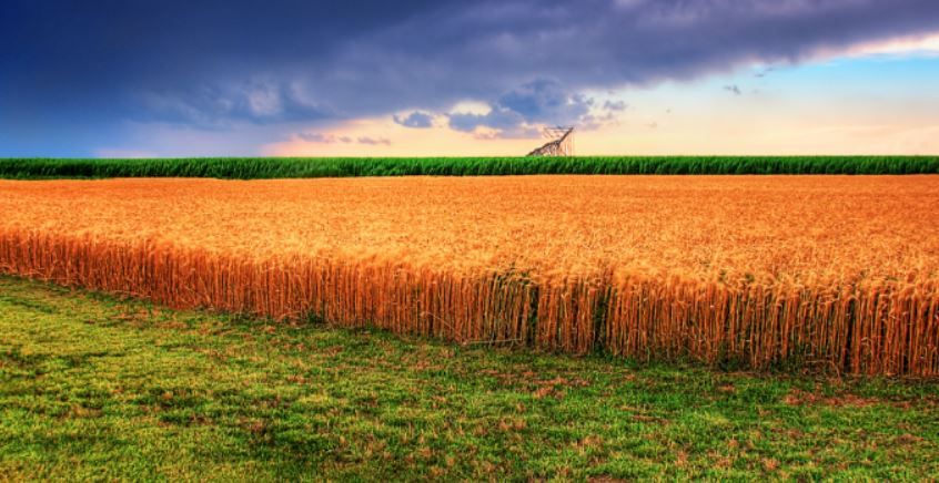 Oklahoma Farm Report - U.S. Department of Agriculture Announces Key ...