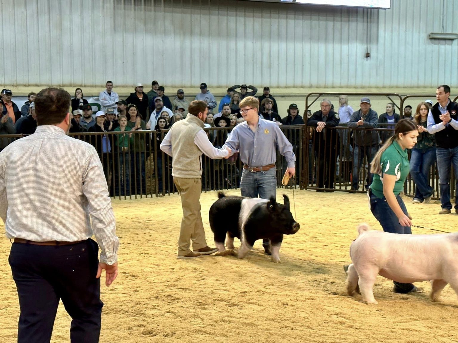 Kensley Whittington of Tecumseh 4-H Wins Supreme Champion Commercial ...