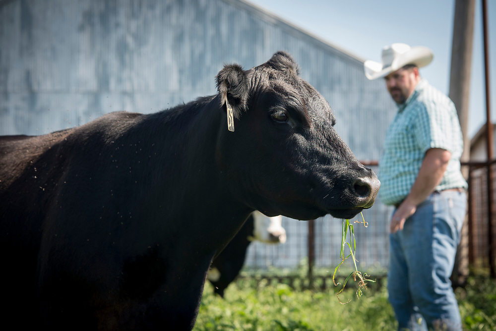 OSU’s Dr. Rosslyn Biggs: Is Your Dewormer Working? - Oklahoma Farm Report