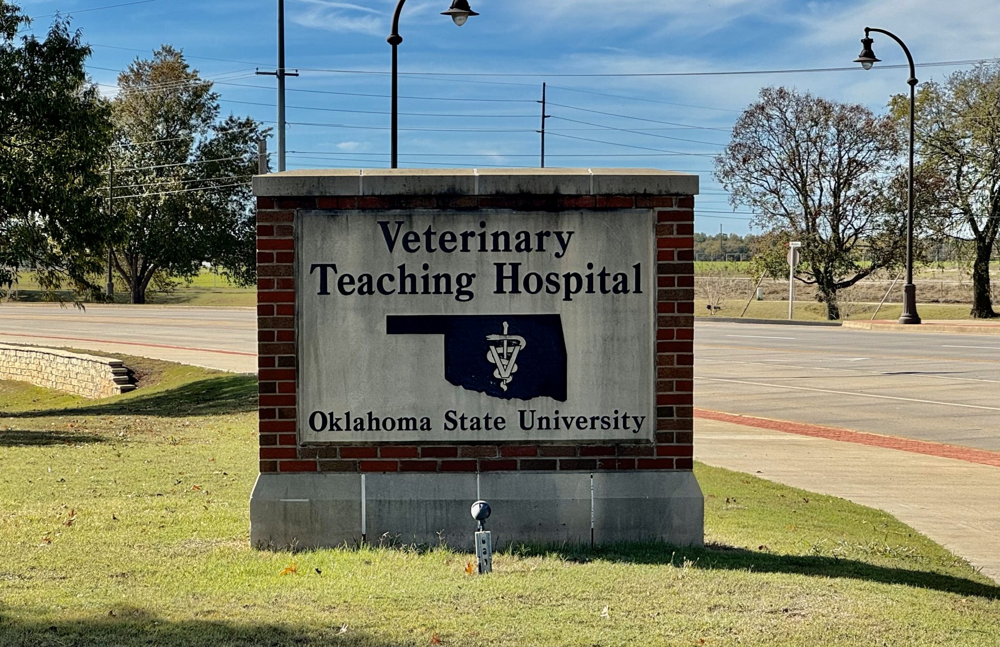 OSU College of Vet Medicine: Understanding the 2024 Probationary ...