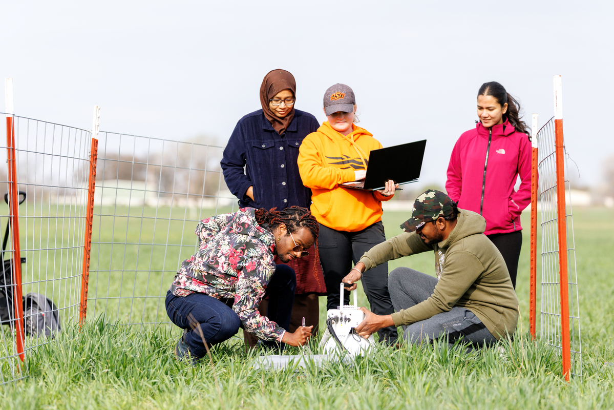 OSU Researchers Seeking Environmental Solutions through Cover Cropping ...