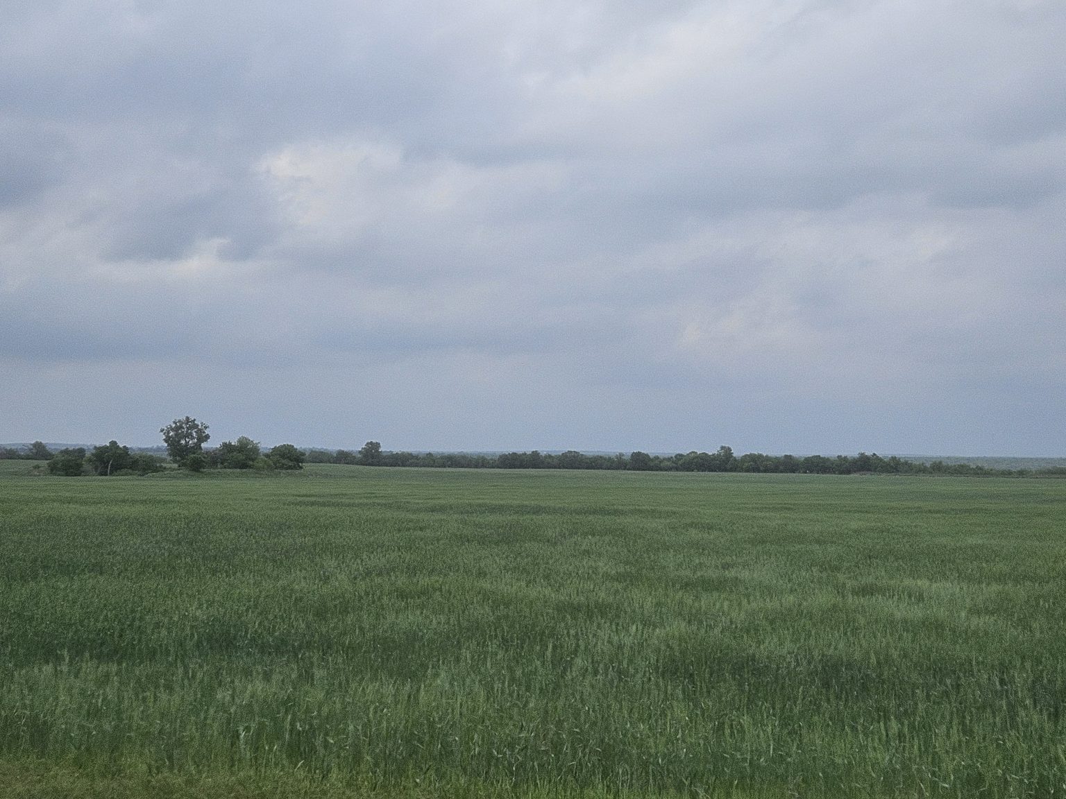 Latest Crop Progress Report: Significant Rainfall Event Improves ...