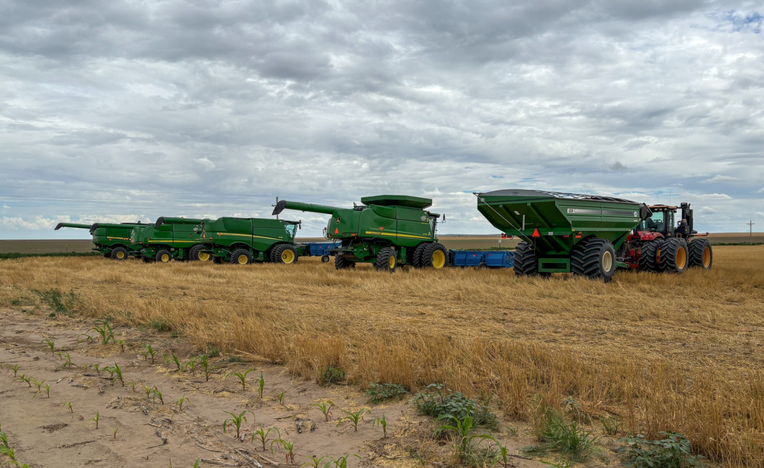 Final report from Kansas wheat shows Harvest 93% complete - Oklahoma ...