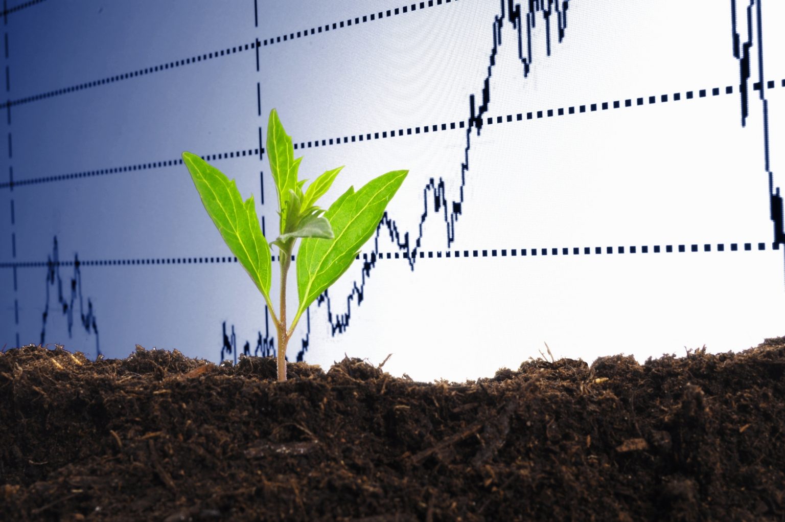 New Policy Levers and Tax Strategies: Navigating the “One Big Beautiful ...