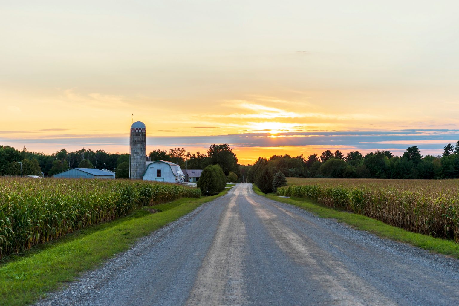 State Law Sets Nov. 1 Deadline for New ‘Open Pasture Road’ Designations ...