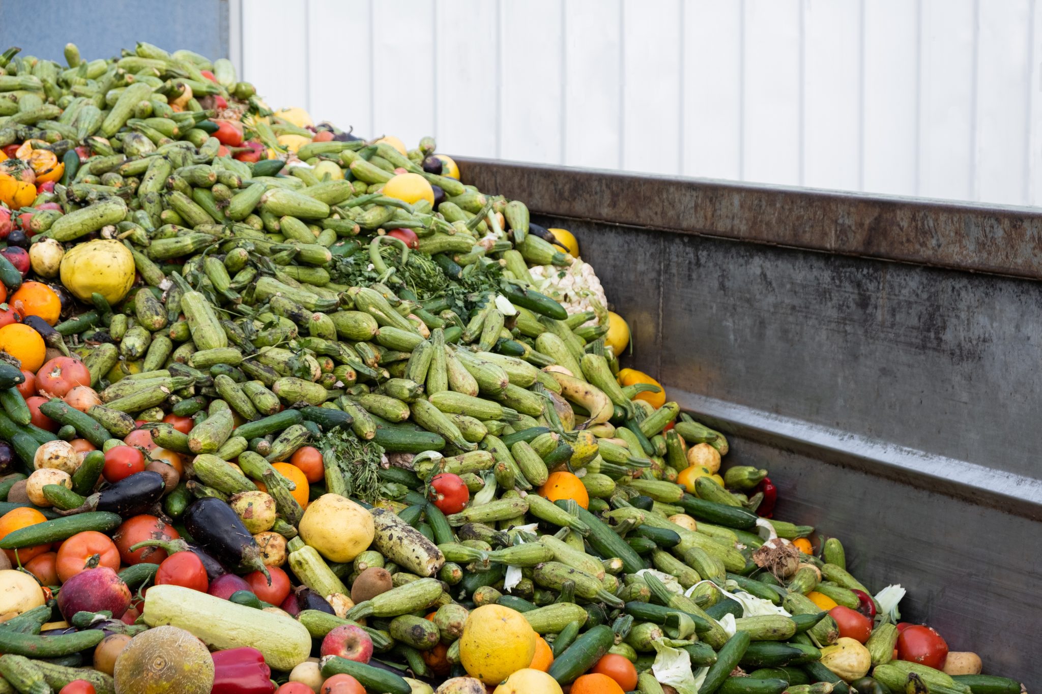 Reiterating Agrifood Safety Education to Further Reduce Southern U.S ...