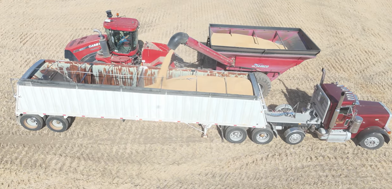 Q&A: Technical Assistance Demonstrates Value of U.S. Wheat to South ...