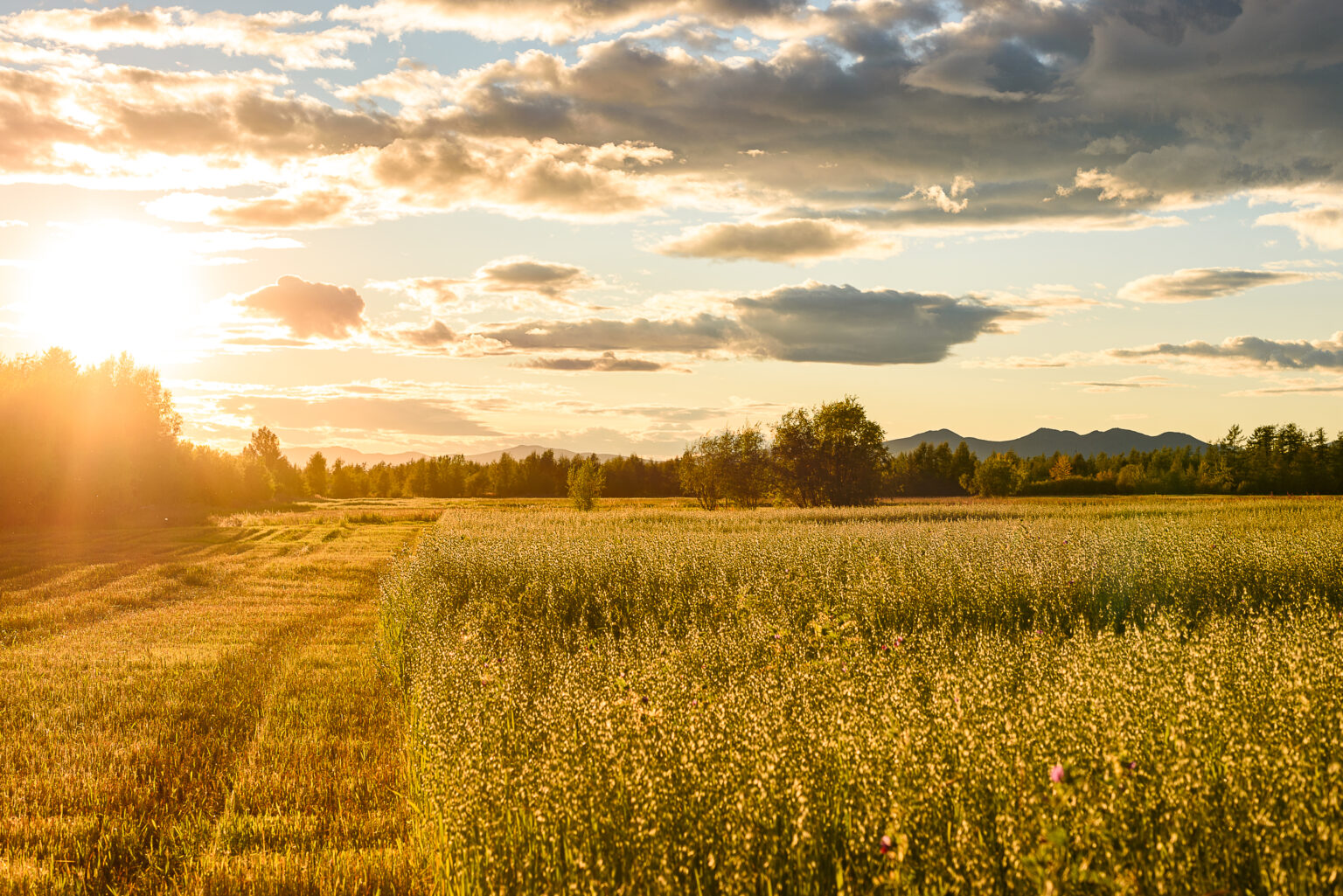 Is More Bridge Assistance Really Needed? - Oklahoma Farm Report