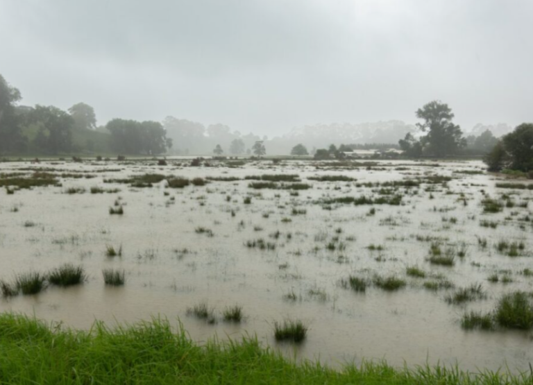 USDA Issues Final Emergency Livestock Relief Program Payments for 2023 ...