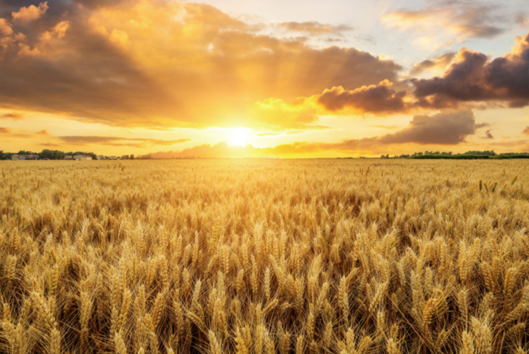 NRCS Announces Second Application Sign-Ups for Agricultural Land ...