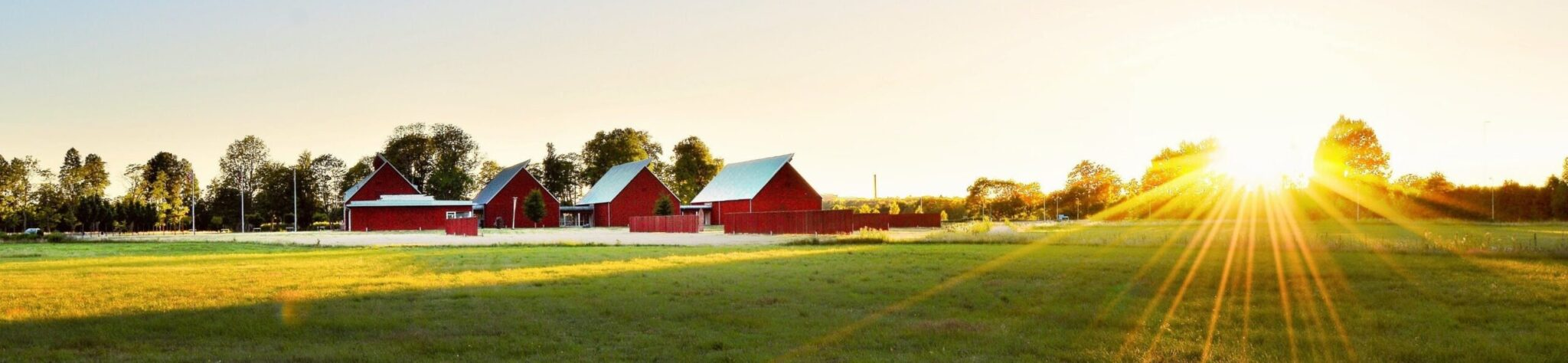 What Producers Need to Know About Futures Markets - Oklahoma Farm Report