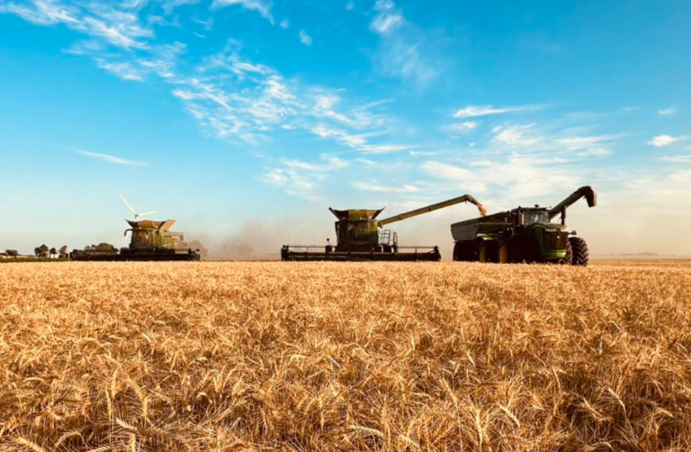 Oklahoma Wheat Harvest Reaches 12%–14% Complete Amid Wide Crop ...