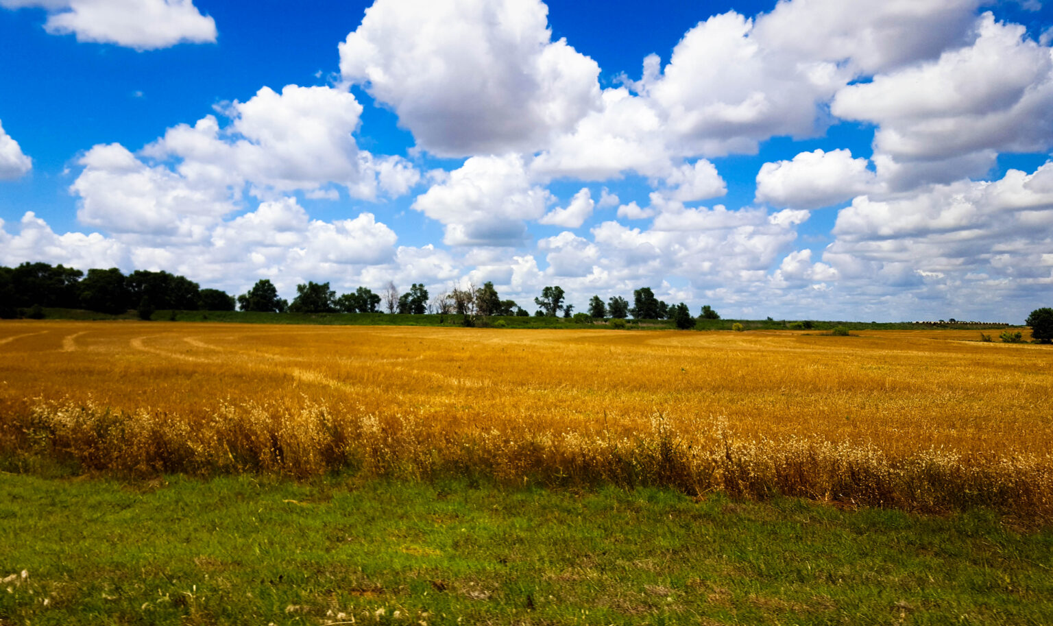 OSU’s Todd Hubbs says Favorable Weather and Heavy Supplies Stifle Grain ...