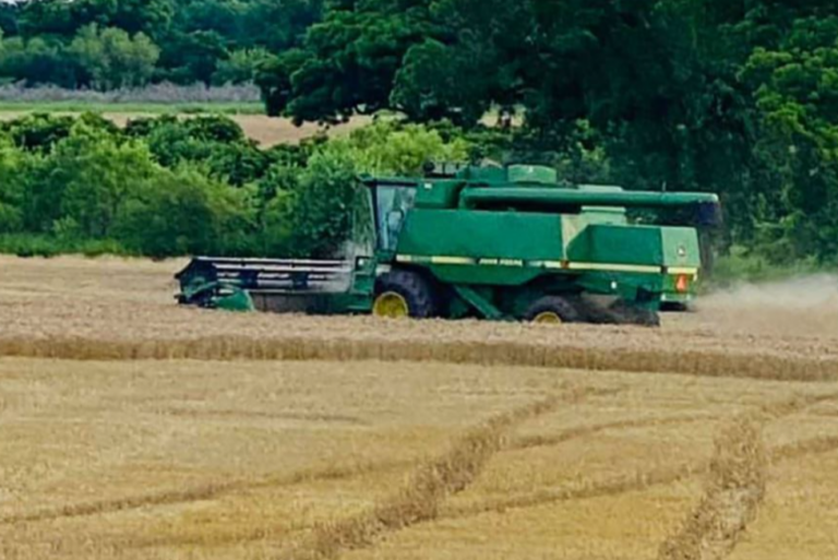 Crop Progress: Oklahoma Winter Wheat Harvest Surges to 44% - Oklahoma ...