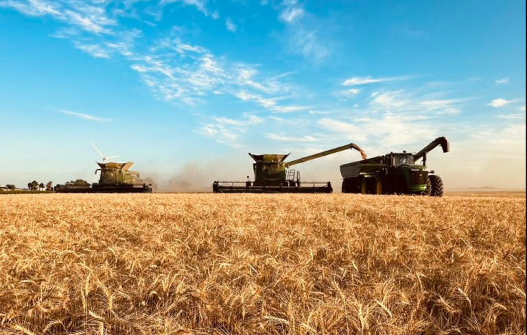 Oklahoma Wheat Harvest Rockets Forward Amid Lower Harvested Acres ...