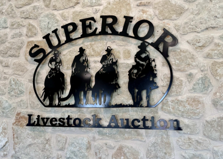 Danny Jones: Strong Cattle Prices Keep Beef Industry Optimistic in 2026 ...
