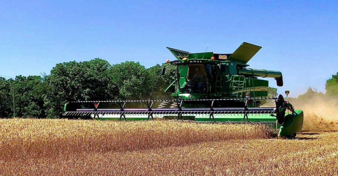 Crop Production Shows Sharp Winter Wheat Production Declines Across ...