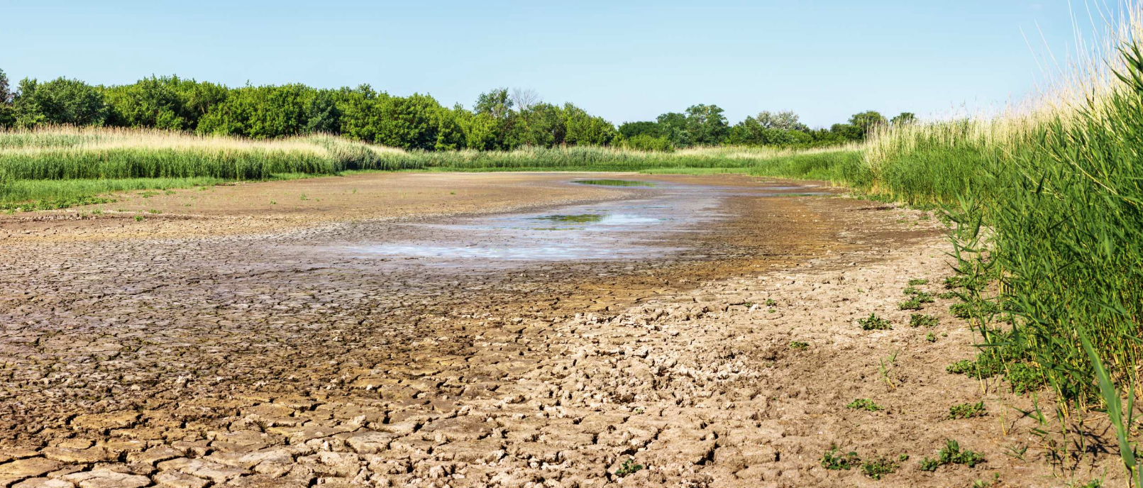 Dr. Derrell Peel Says Drought Concerns Continue to Delay Herd ...