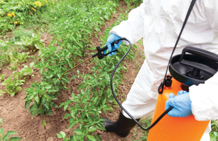 FMC Corporation and Corteva Expand Access to Breakthrough Rimisoxafen ...