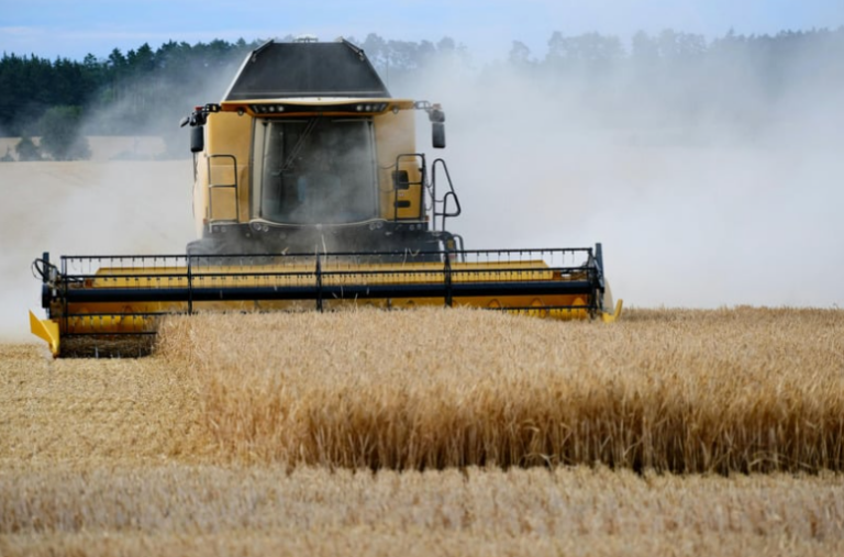 Oklahoma Winter Wheat Harvest 95% Complete In This Weeks Crop Progress ...