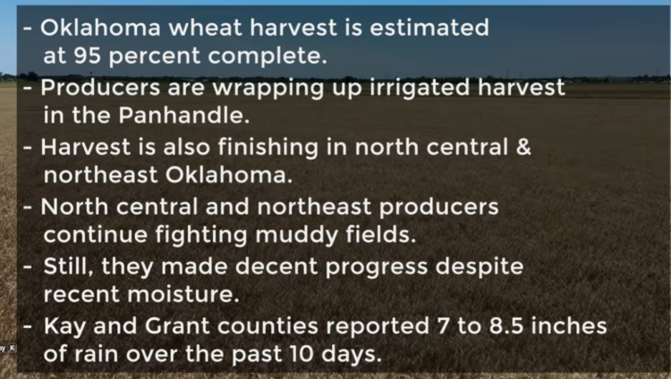 Oklahoma Wheat Harvest Nears 95% Completion Facing Heavy Rains and ...