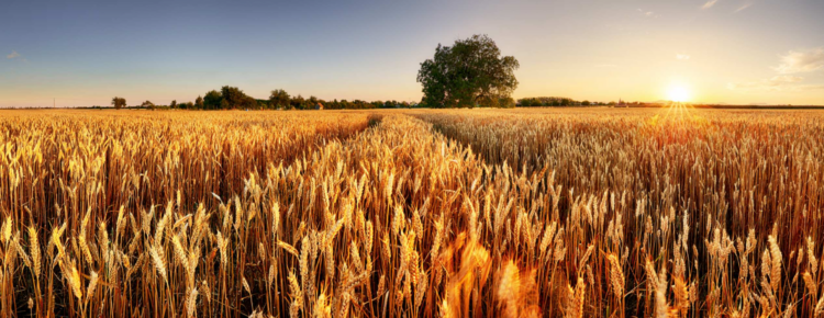 USDA Invests up to $310 Million in Partnership Projects to Boost Farm ...