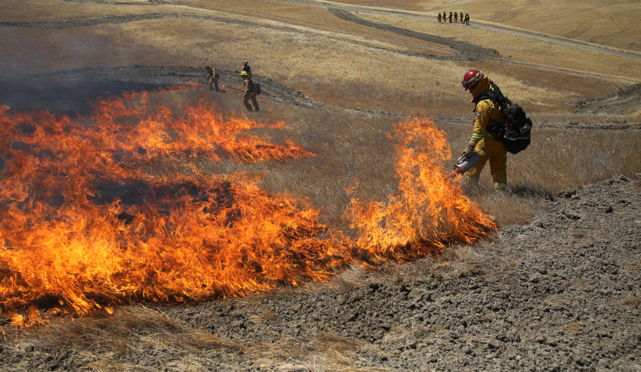 Klobuchar Opening Remarks Highlight Potential Impact of Forest Service ...