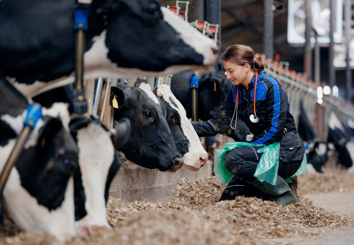 Farmer Focus: From Balance Sheets to Boardroom, Eigenbrood Advocates ...