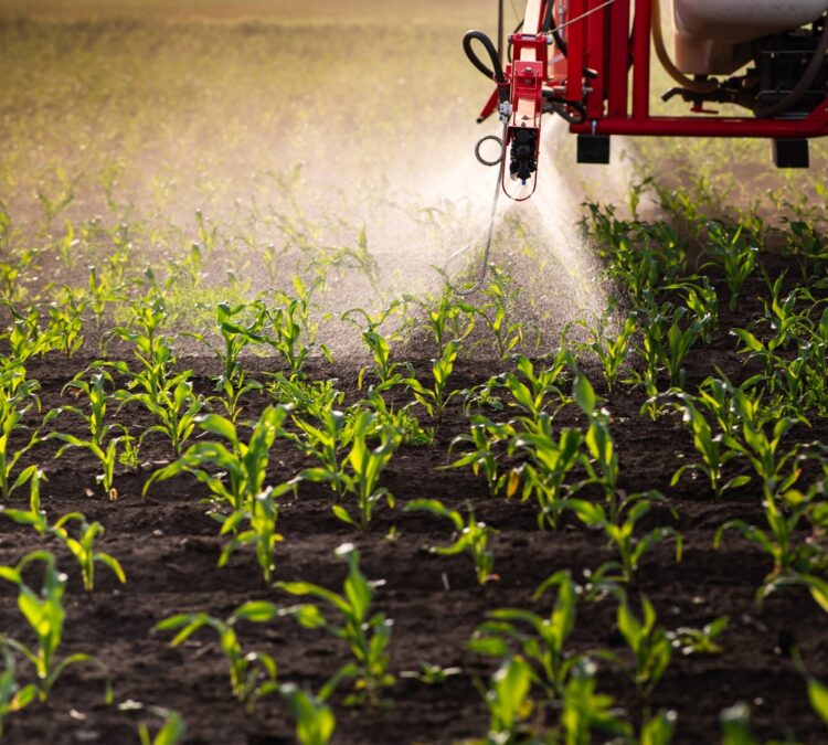 June Retail Fertilizer Prices Mostly Lower, Led by Double-Digit Drop in ...